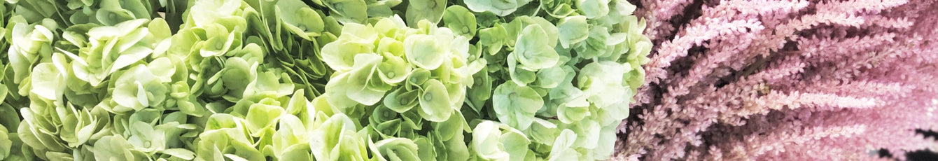 Pourquoi Pas Fleurs | Exemples de messages de sympathie pour la ...