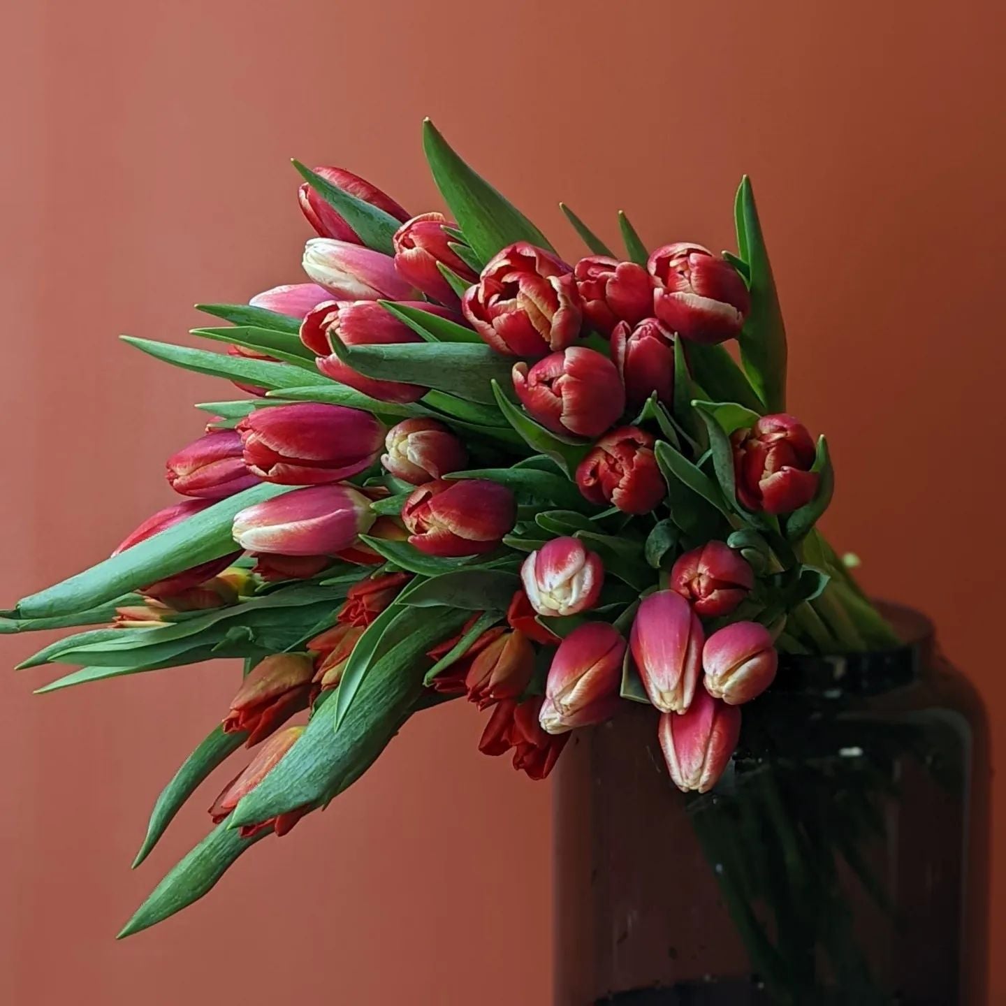 Fleuriste Montreal - Livraison de fleurs rapide - Pourquoi Pas Fleurs