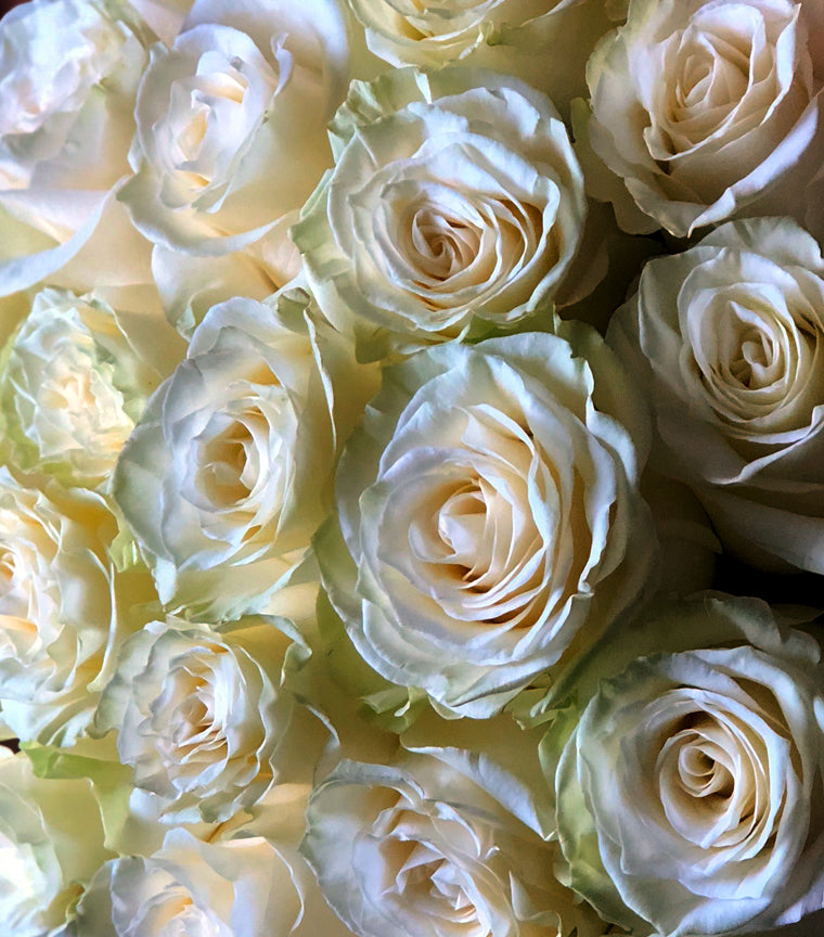 Fleuriste Montreal - Livraison de fleurs rapide - Pourquoi Pas Fleurs